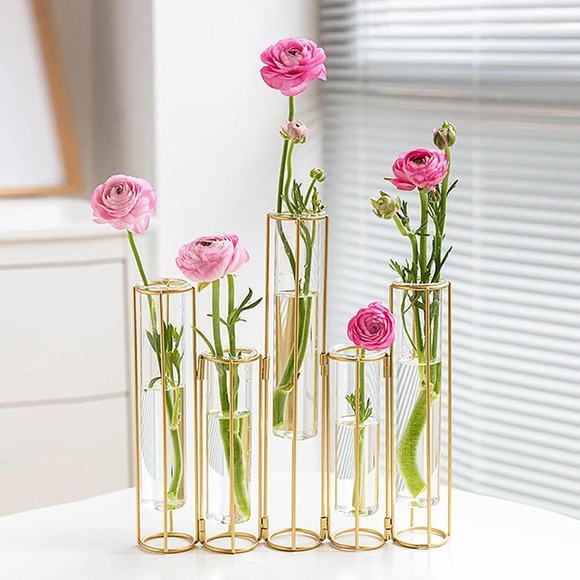 Accents | Test Tube Vase For Flowers Glass Vase With Metal Stand Racks ...